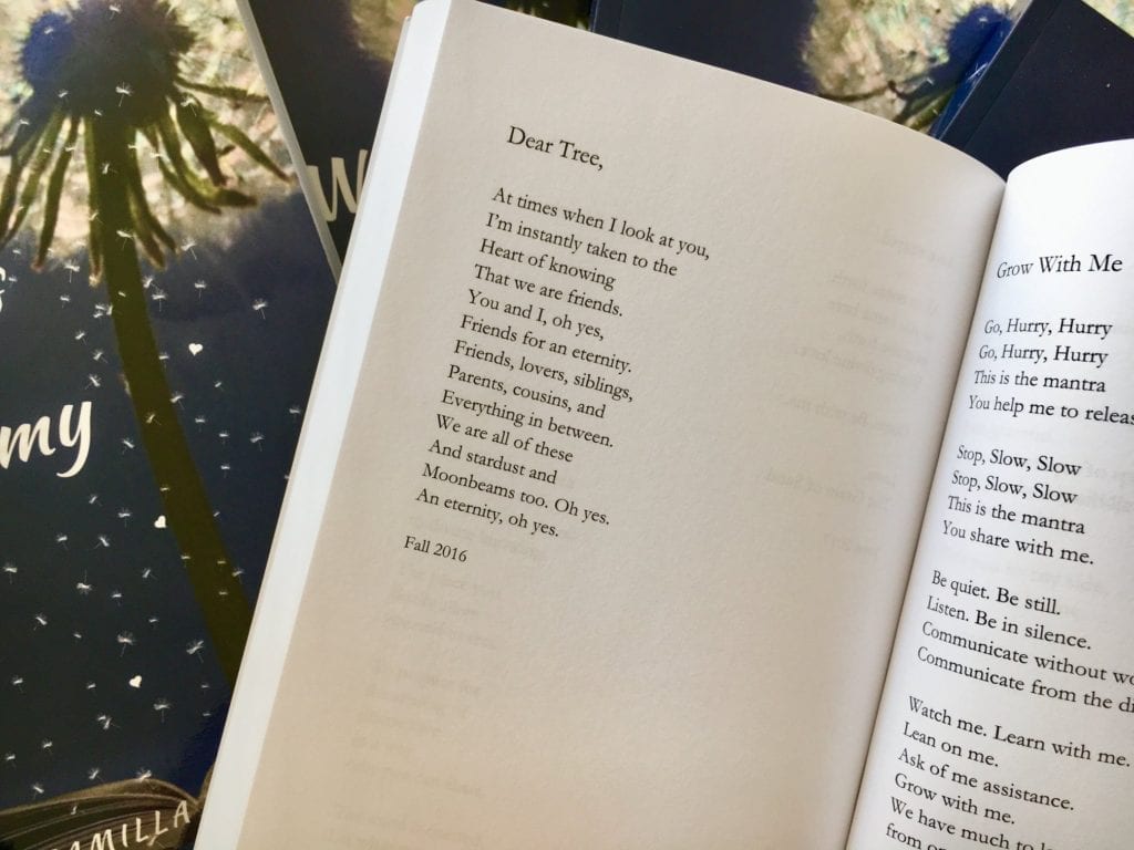 Amy at Trader Joe’s – Thank YOU While Making an Appearance in Norwich ...